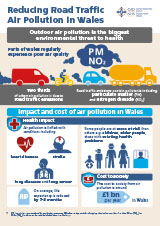 Making a Difference: Reducing health risks associated with road traffic ...